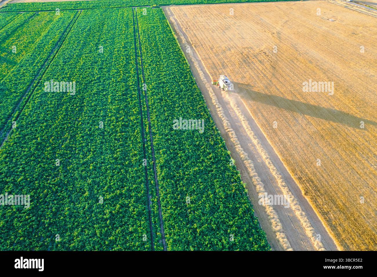 agriculture and farming top view of field divisions. agricultural ...