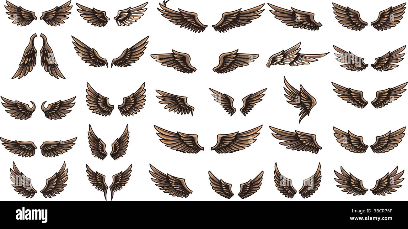 Aesthetic wing arrangements hi-res stock photography and images - Alamy