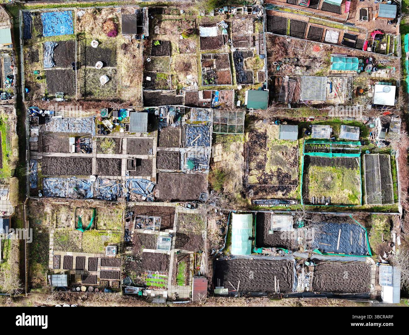 Aerial drone view of allotments in Peebles Stock Photo - Alamy
