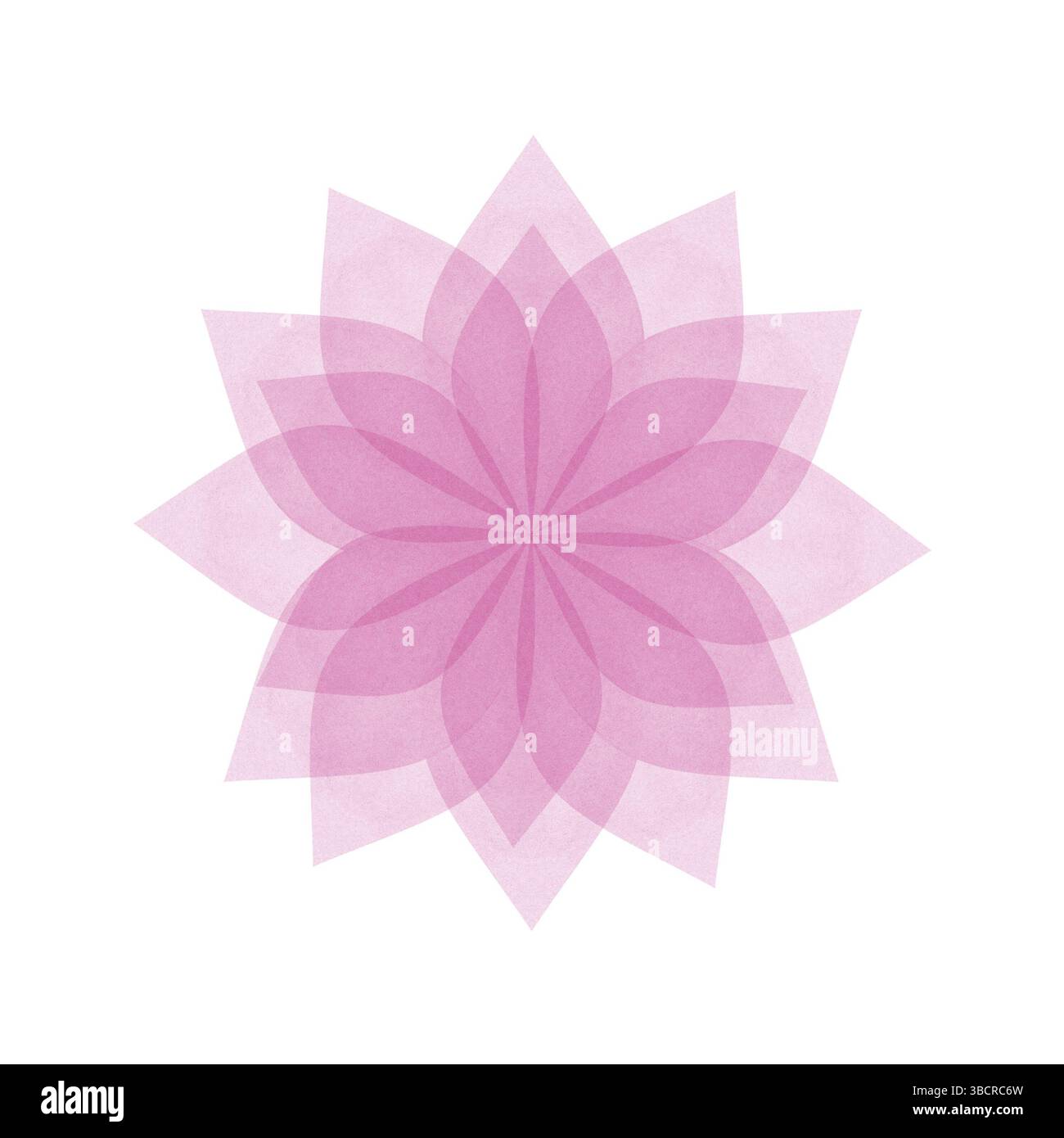 Abstract pink blooming lotus symbol watercolor illustration isolated ...