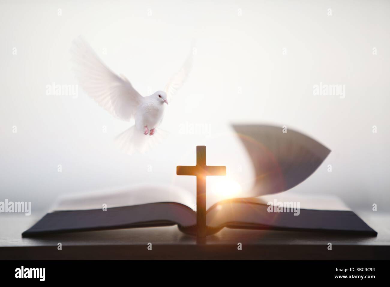 The cross of Jesus Christ's suffering and the Bible of the Word of Life, the white dove of the ...