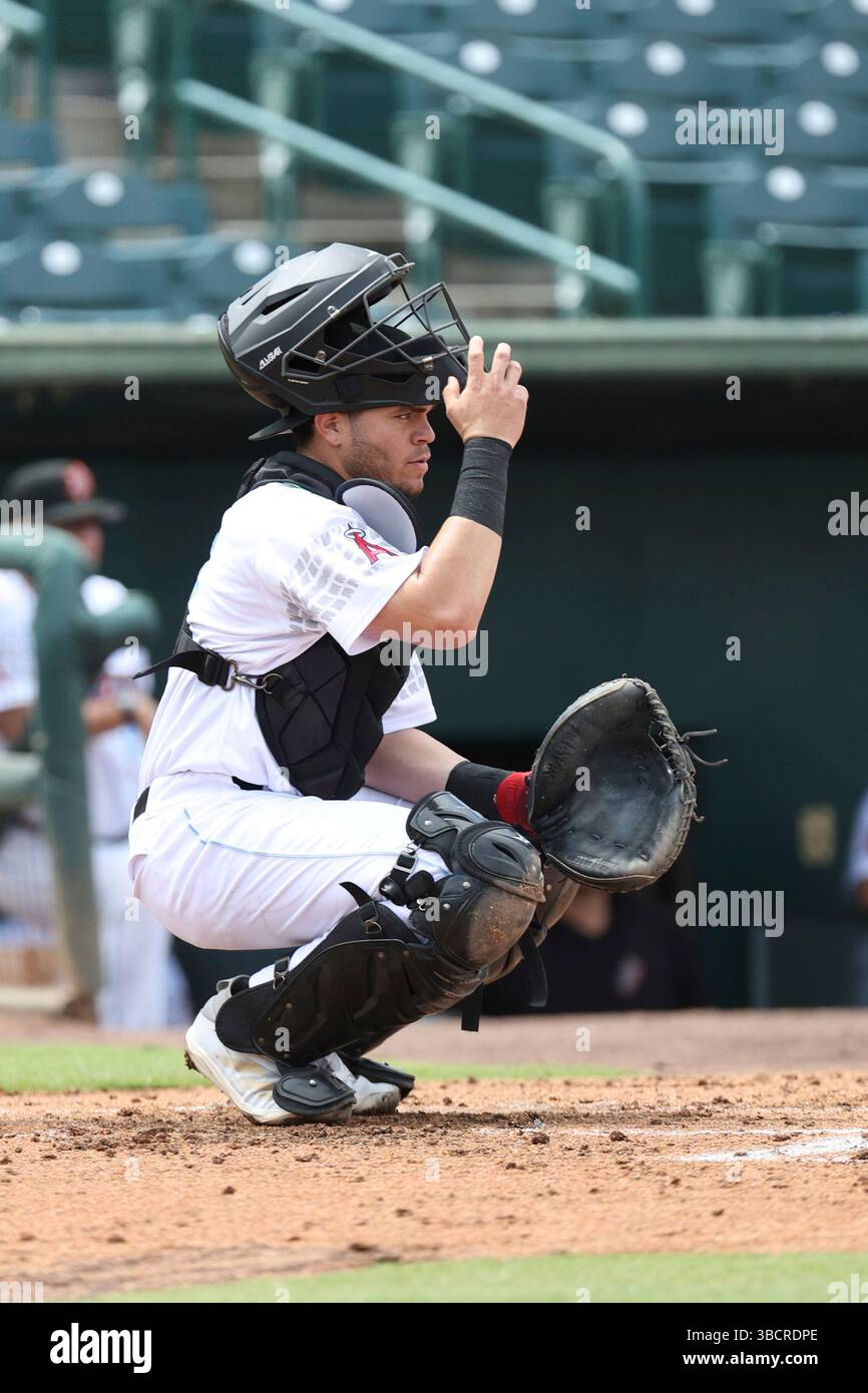 Jonathan Linares (13) of the Inland Empire 66ers in the field against ...