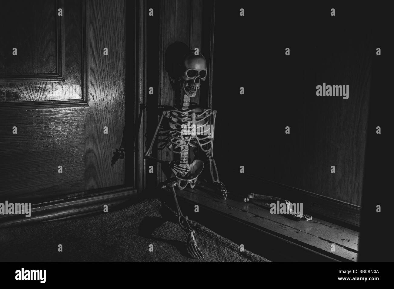Skeleton doll hi-res stock photography and images - Alamy
