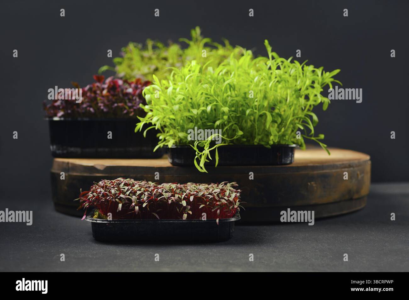 Low key photo of baby amaranth, tarragon, estragon and watercress ...