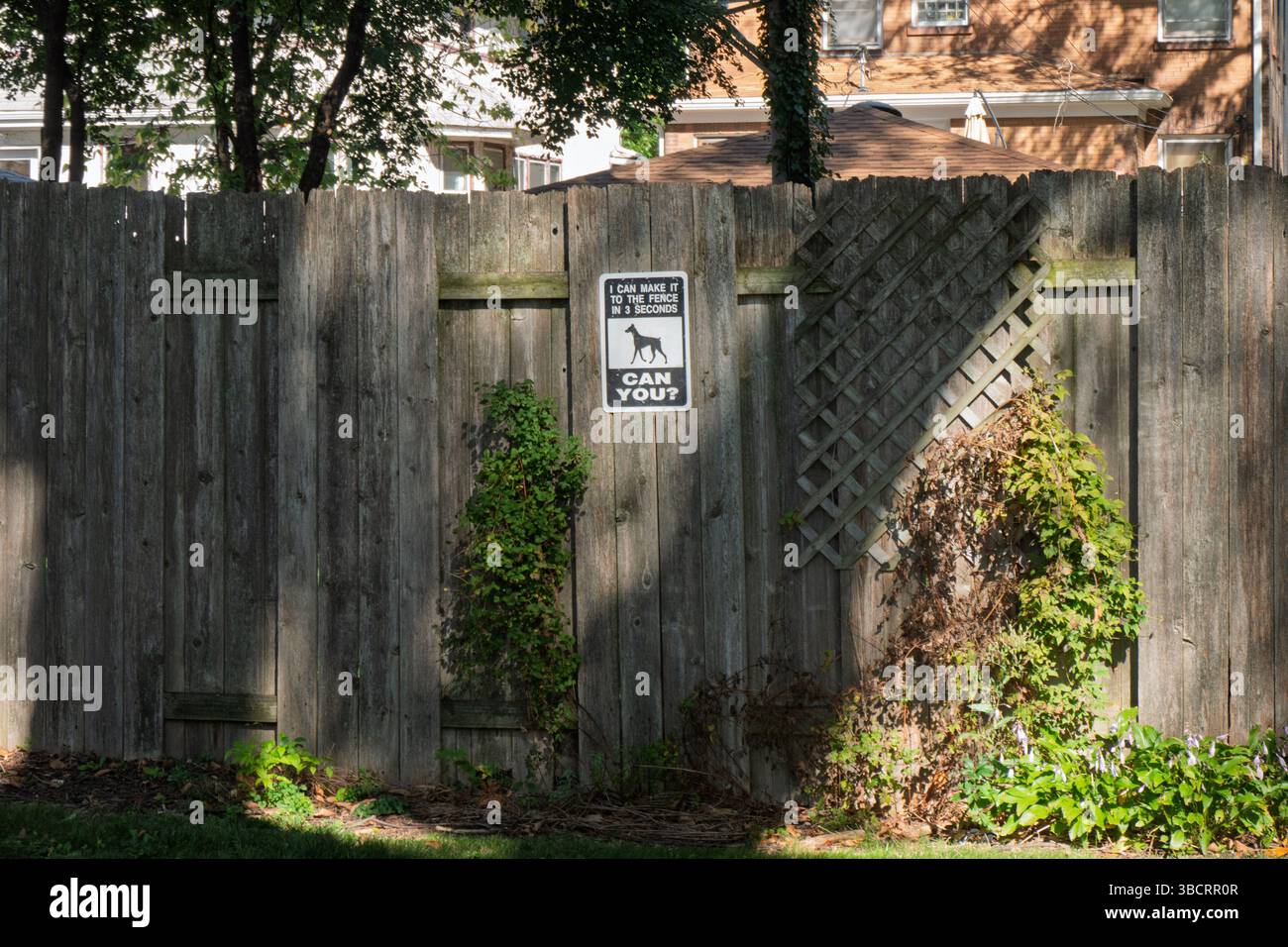Creative Beward of Dog sign, Chicago, Illinois Stock Photo - Alamy