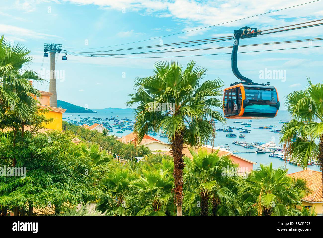 Modern cable car cabin gliding over lush palm trees with vibrant blue ...