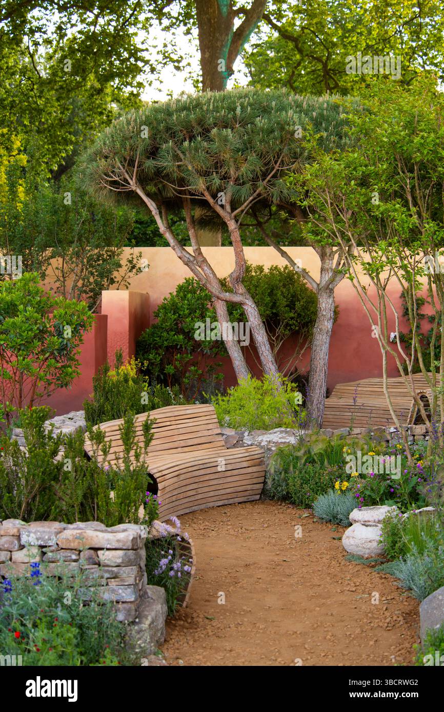 Steam bent oak benches, yorkstone paving and pathways through borders ...