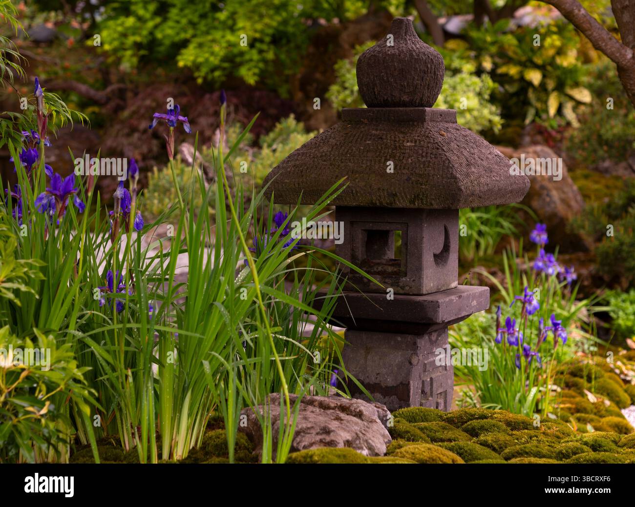 The Cha no niwa - Japanese Tea Garden designed by Kazuyuki Ishihara ...