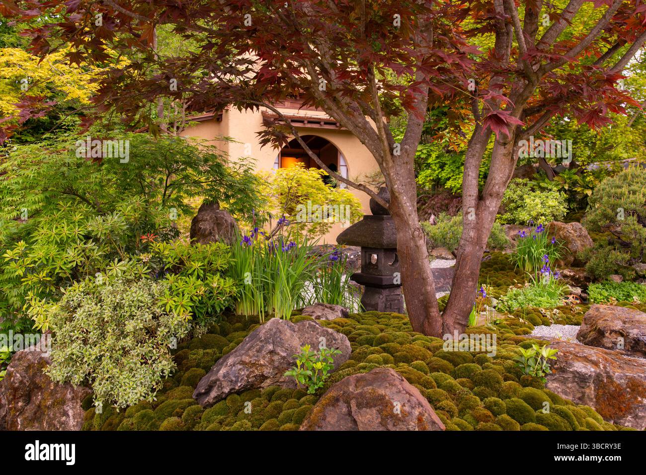 The Cha no niwa - Japanese Tea Garden designed by Kazuyuki Ishihara ...