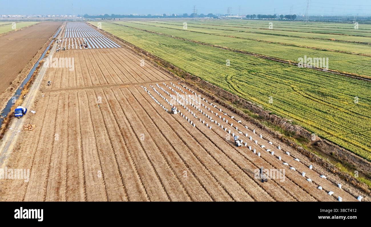 (250521) -- BEIJING, May 21, 2025 (Xinhua) -- An aerial drone photo ...