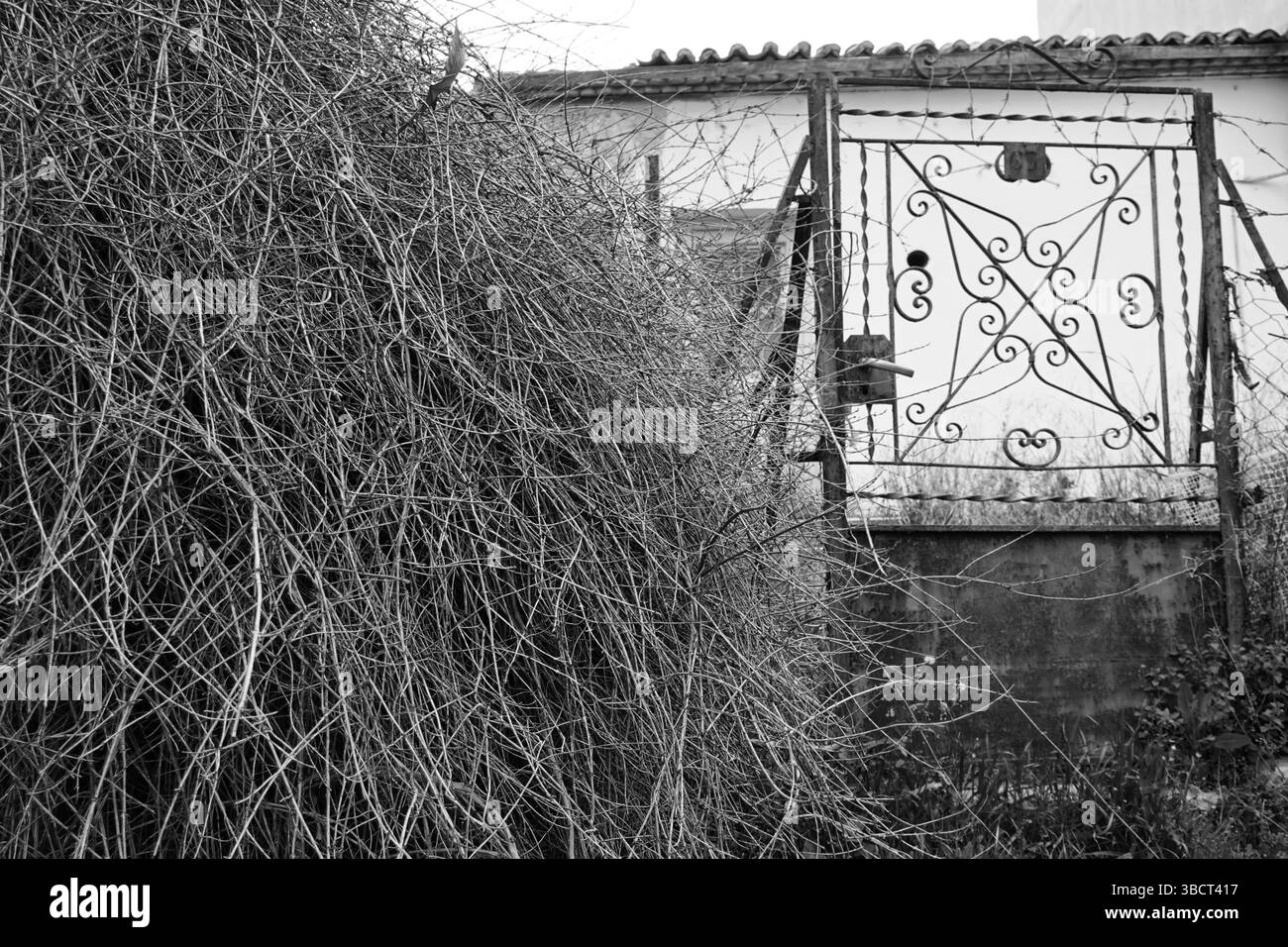 Exterior motif Black and White Stock Photos & Images - Alamy