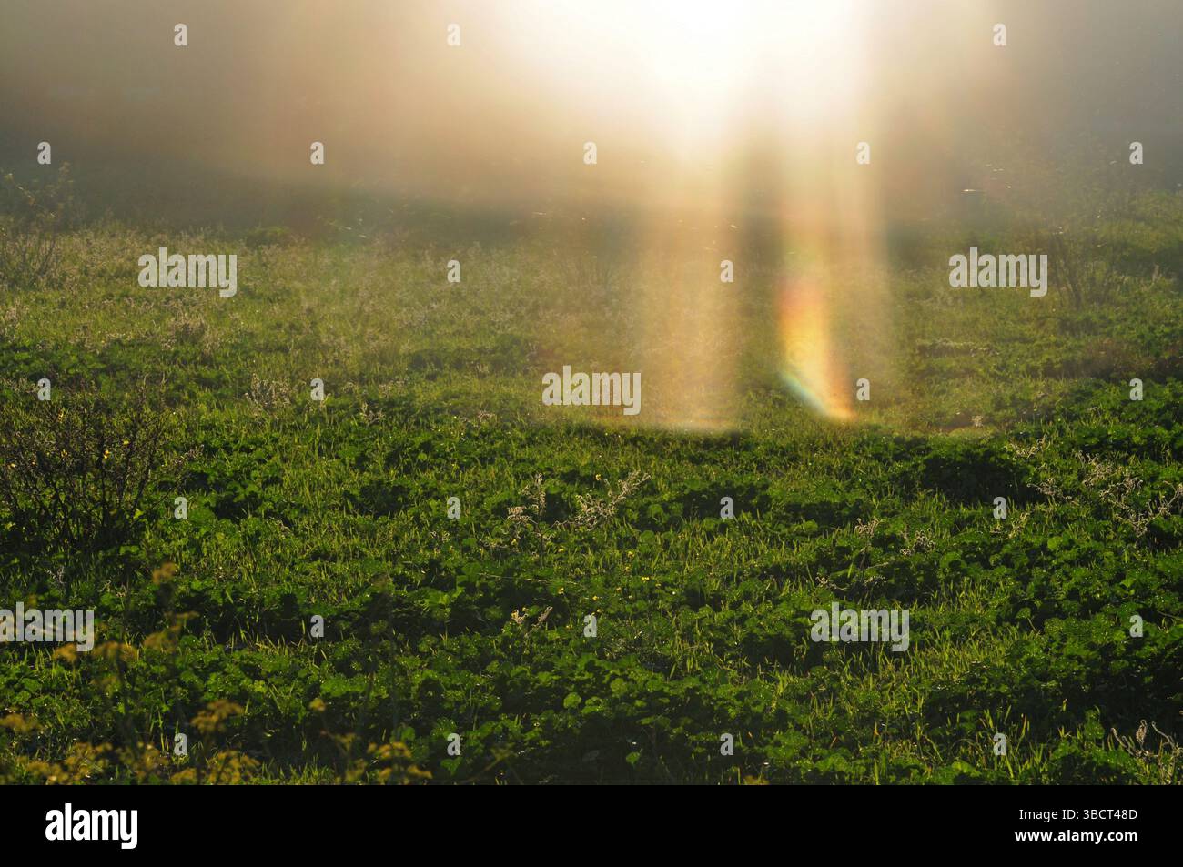 Abstract ground light rays hi-res stock photography and images - Alamy