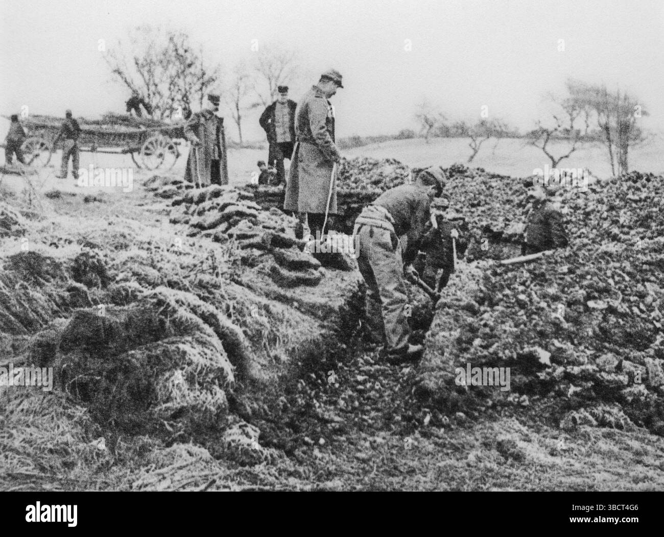 WWI British 2nd Battalion, Royal Scots Fusiliers digging trenches at ...
