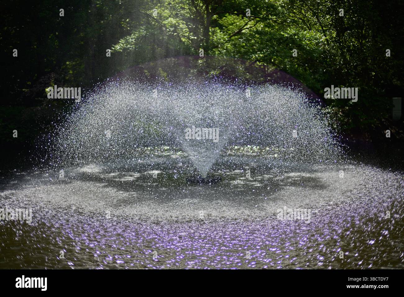 Fountain Botanical Gardens of Wroclaw in the spring Lower Silesia ...