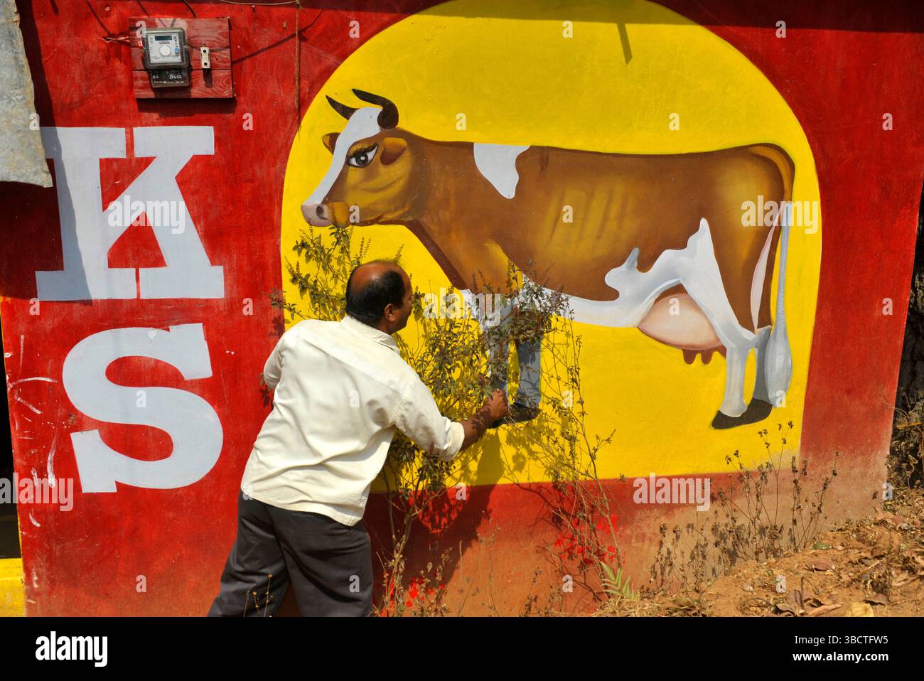 Inde du Sud,Etat du Kerala,gros plan sur mur peint repr sentant une ...