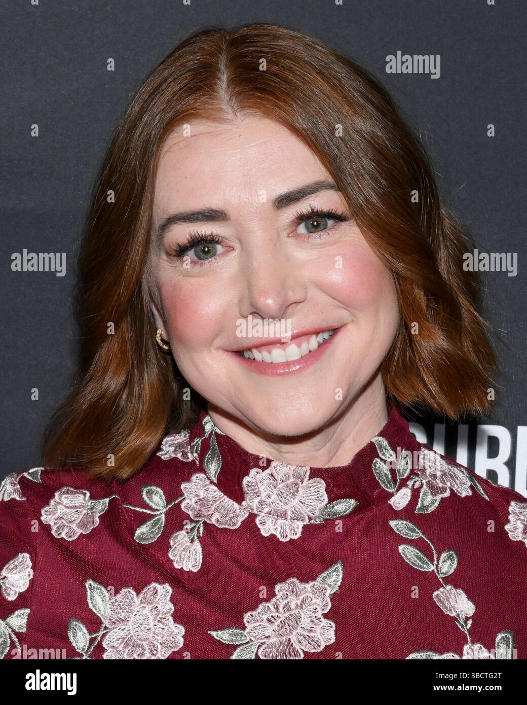 May 20, 2025, Hollywood, California, USA: Alyson Hannigan attends ...