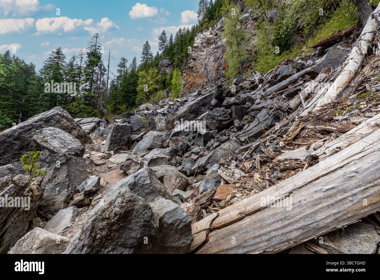 Rock Slide along the Trail to the Tamanawas Falls in Oregon Stock Photo ...