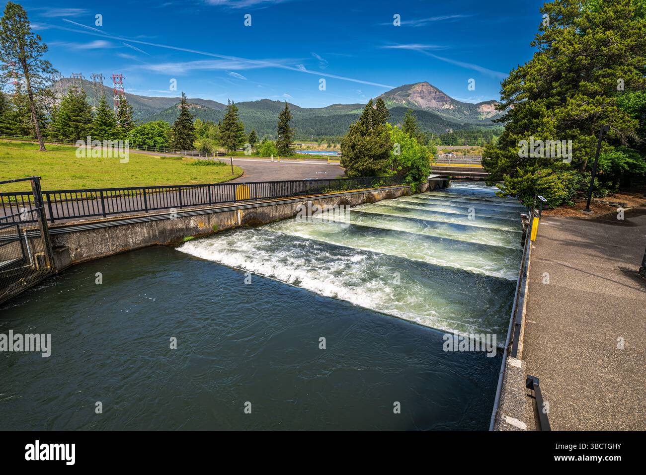 Fish Ladder at the Bonneville Dam in Oregon Stock Photo - Alamy