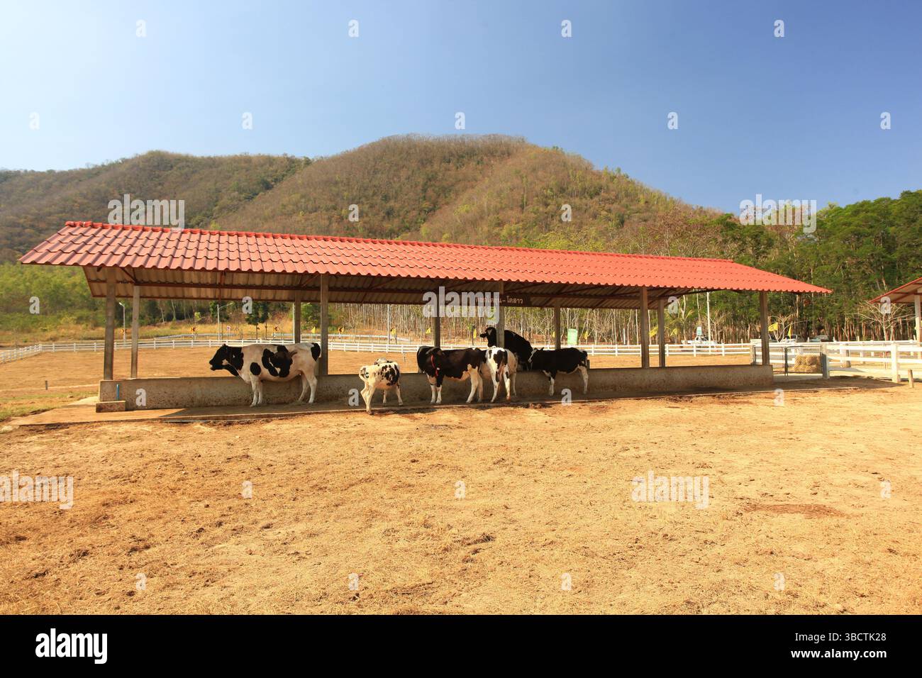 Chang Hua Man Royal Agricultural Project, The Royal Project of His ...
