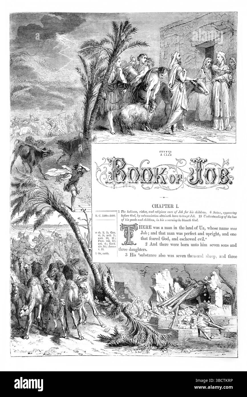 Book of job bible hi-res stock photography and images - Alamy