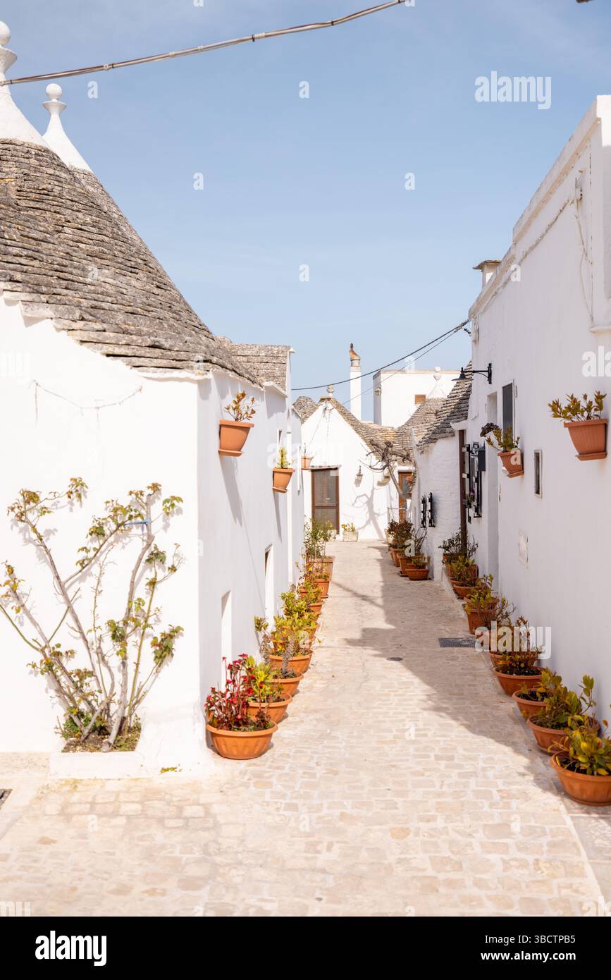 Bright alley in Alberobello with iconic trulli houses and terracotta ...