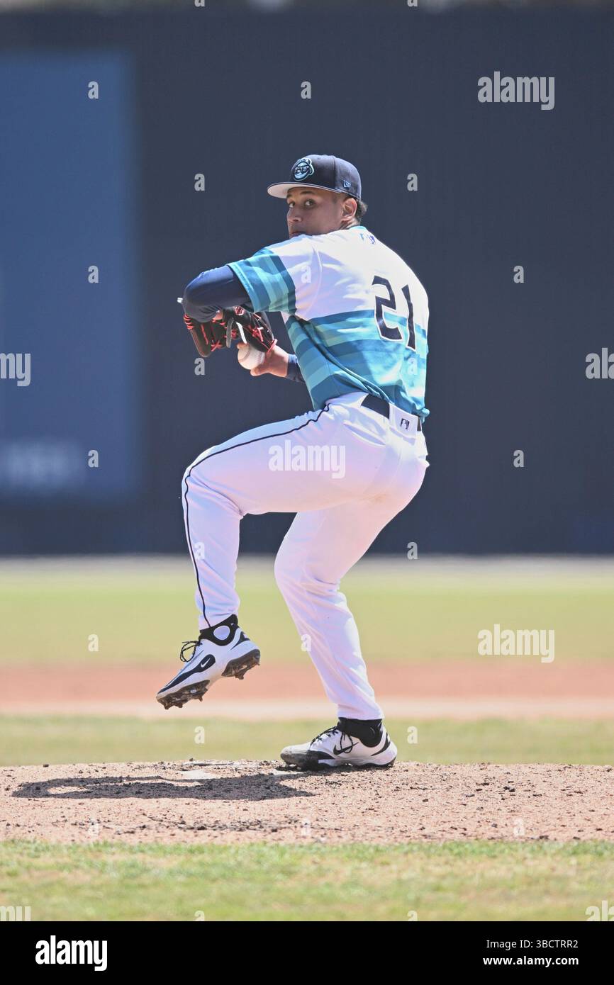 Asheville Tourists starting pitcher Anderson Brito (21) delivers a ...