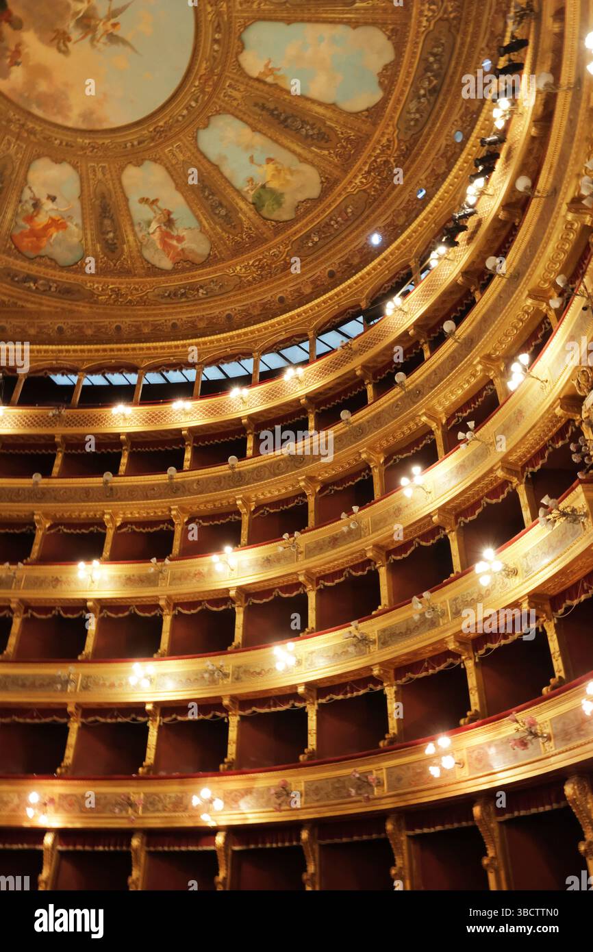 The auditorium (Sala Grande) of the Teatro Massimo opera house in ...