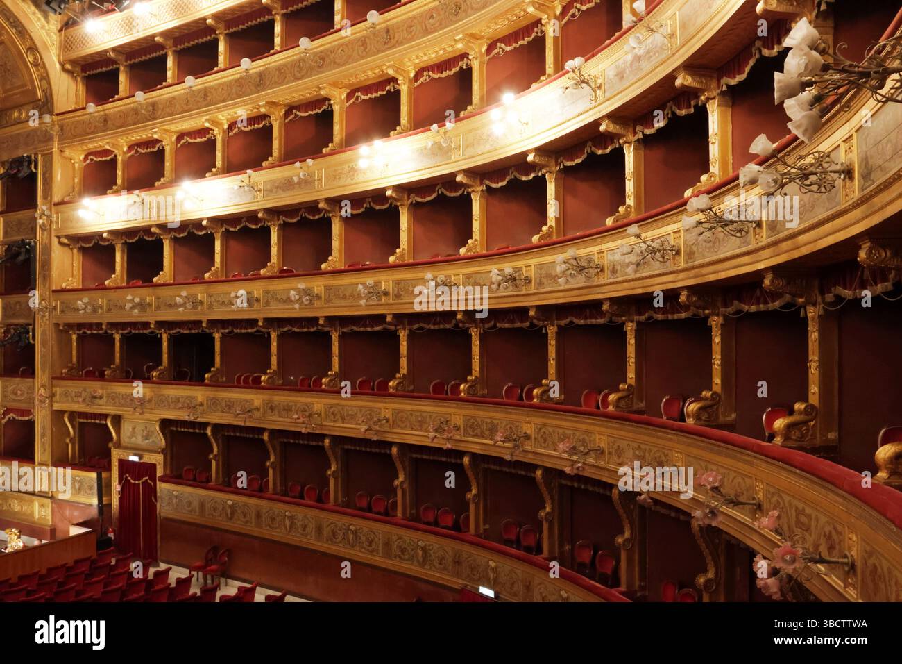 The auditorium (Sala Grande) of the Teatro Massimo opera house in ...