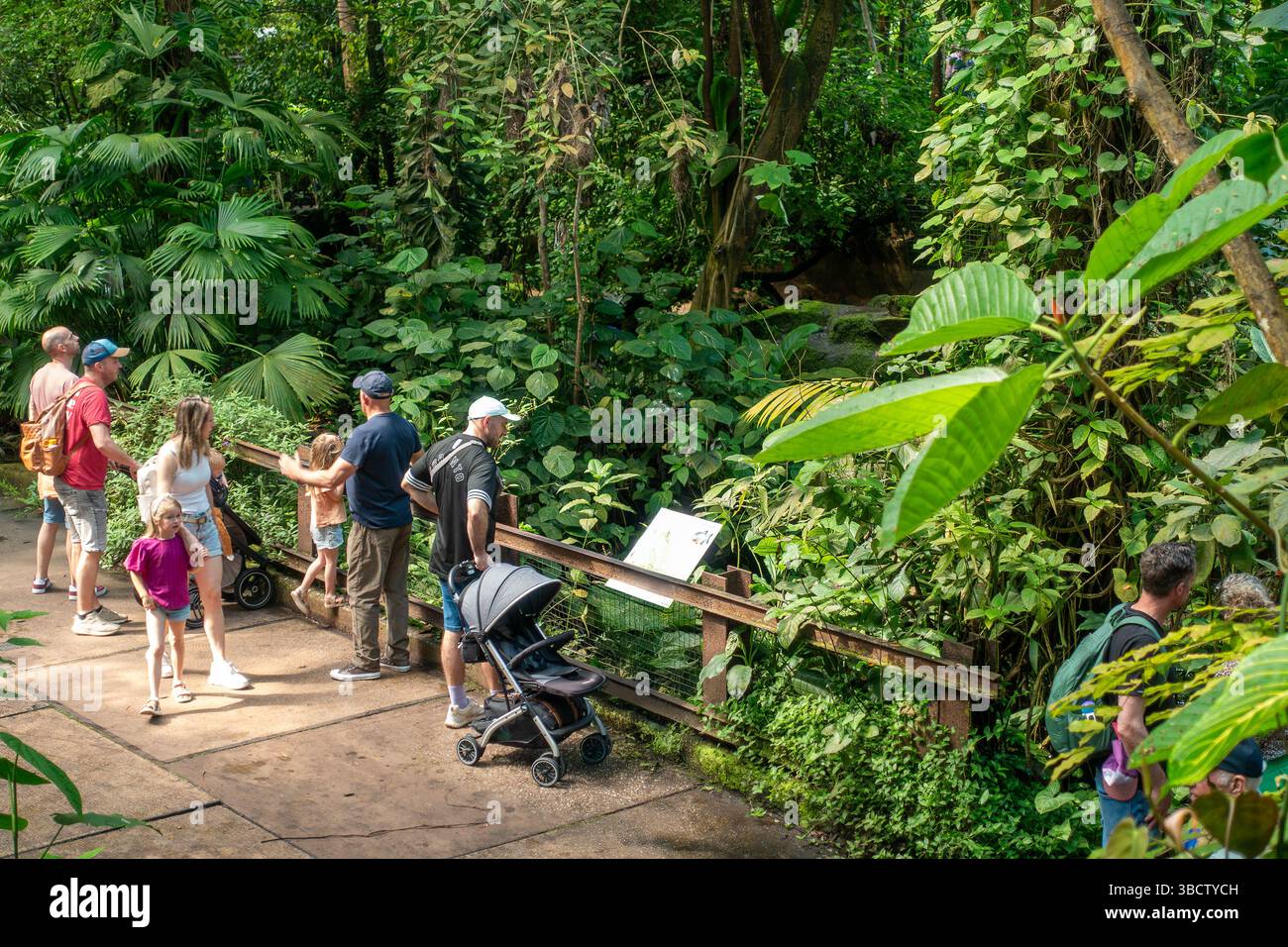 Visitors looking at exotic birds, fishes and jungle plants in the Bush ...