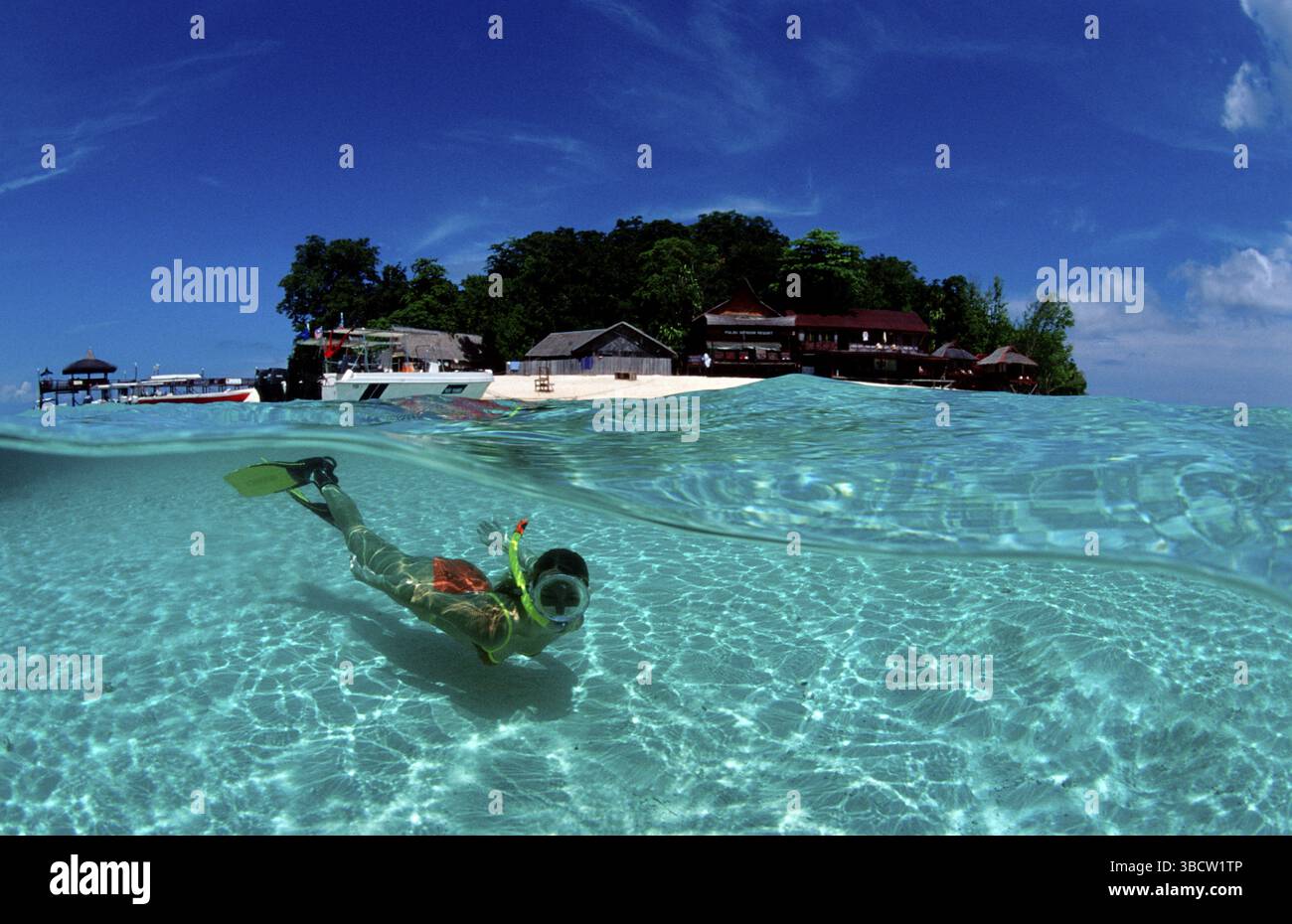 Skindiving, Skin diver, split image, Pulau Sipadan, Malaysia, Southeast ...