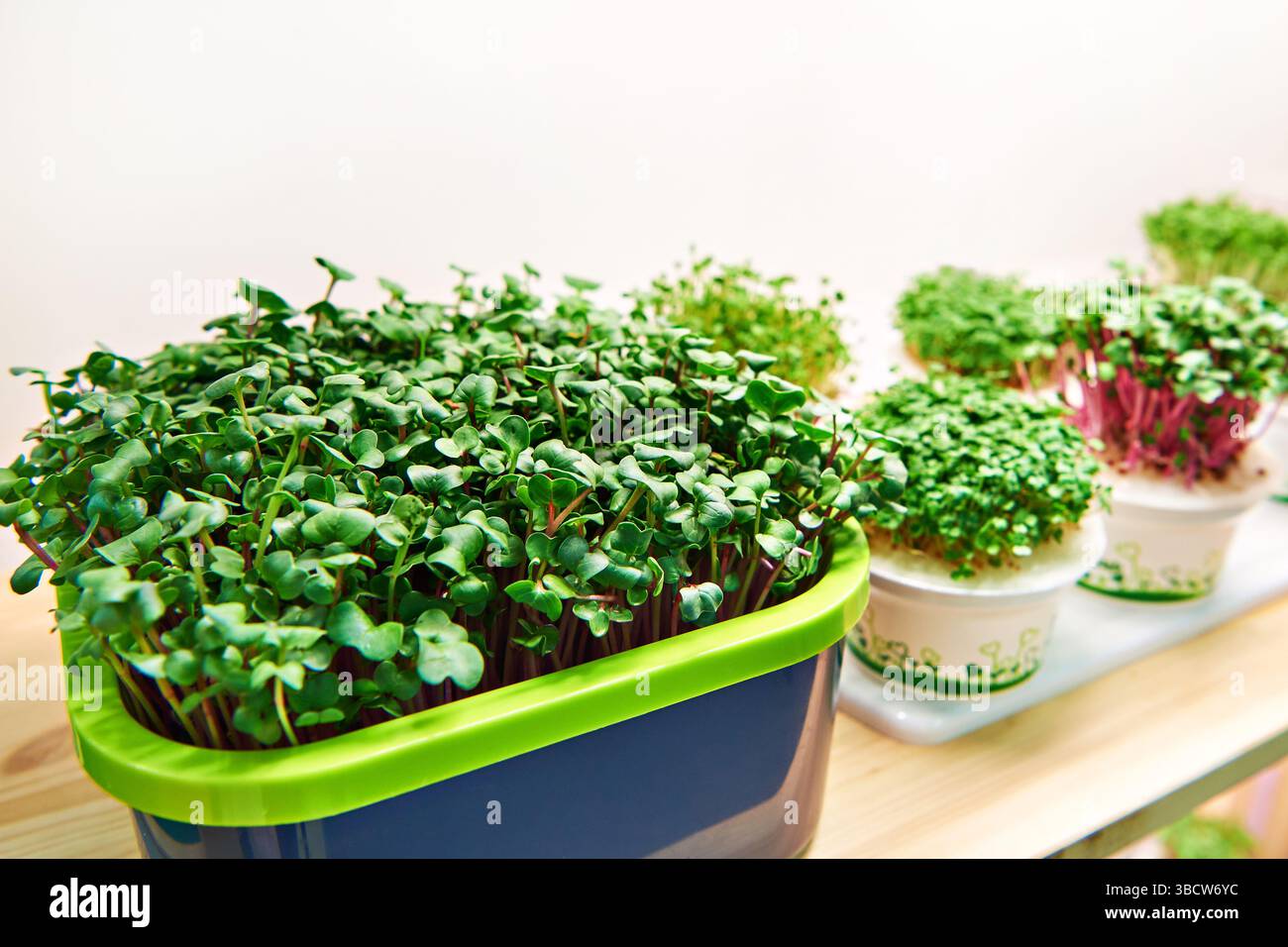 Micro bio hi-res stock photography and images - Alamy