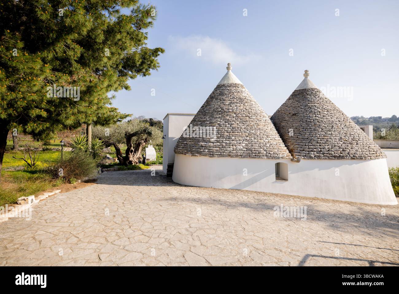 Two traditional conical roofs of a whitewashed trullo house under a ...