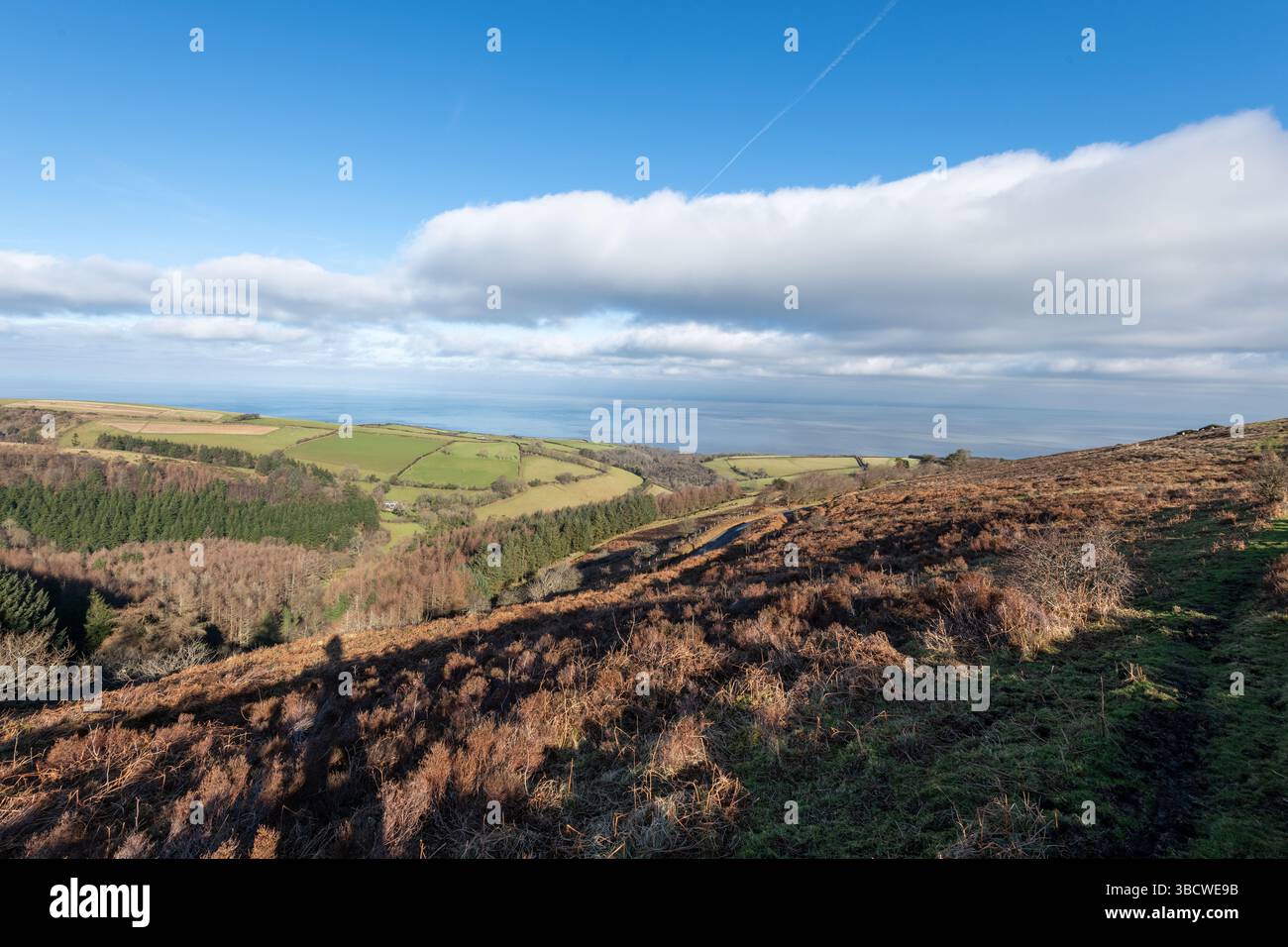 Porlock Common at the top of Porlock Hill in Exmoor National Park Stock ...