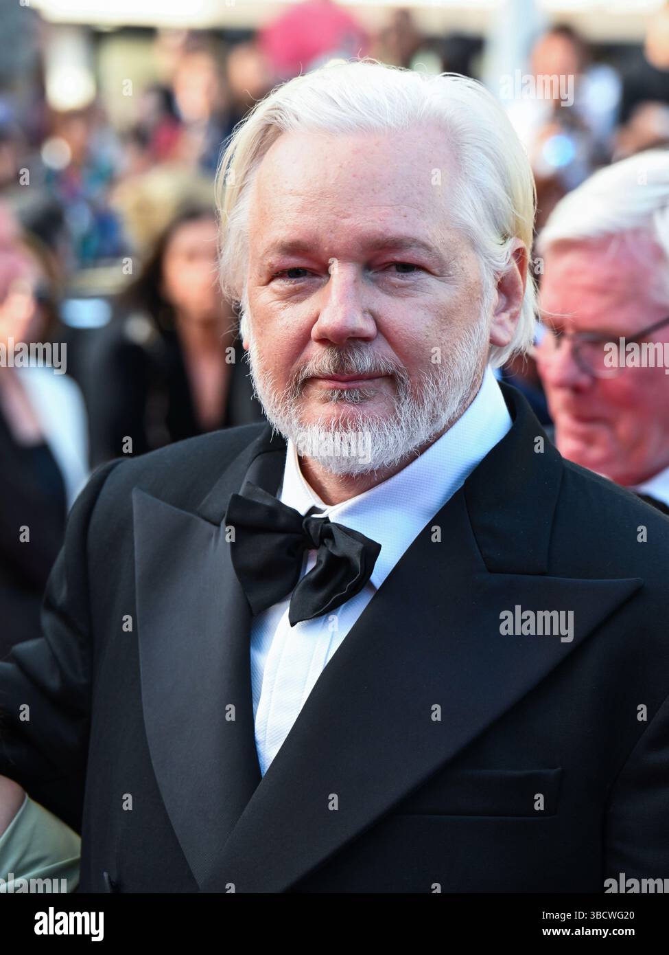 Cannes, 78th Cannes Film Festival 2025 - Evening 9, Red Carpet of the ...