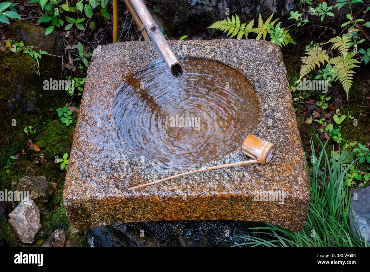Tsukubai, Japanese ceremonial stone washbasin, Kyoto, Japan Stock Photo ...