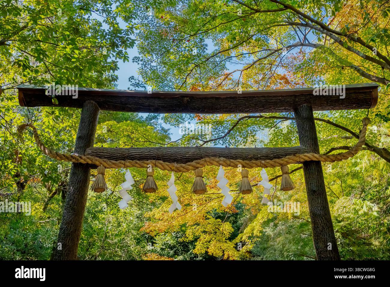 Wooden Torii Gate, Nonomiya Shinto shrine, Arashiyama, Kyoto, Japan ...