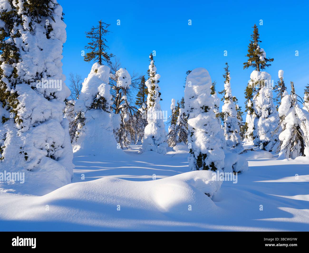Riisitunturi kansallispuisto hi-res stock photography and images - Alamy