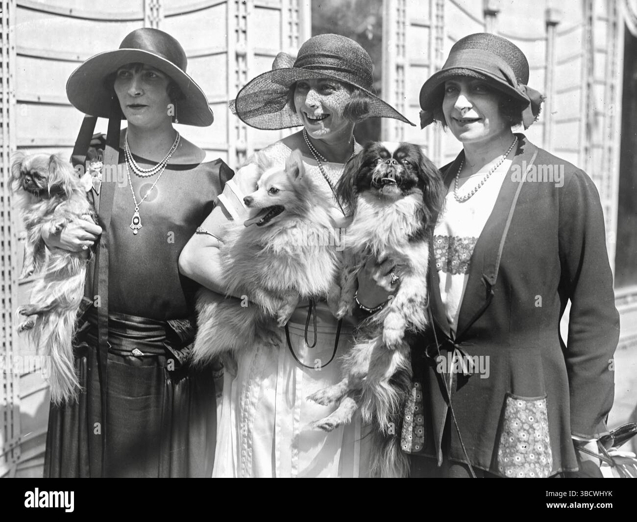 Renee tamary hi-res stock photography and images - Alamy