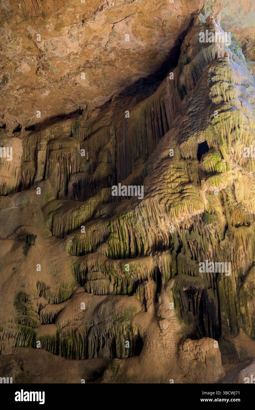 Featuring intricate ridges hi-res stock photography and images - Alamy