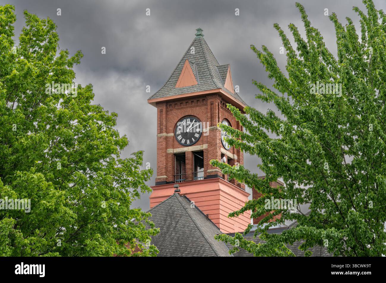 Barry County Courthouse in Hastings, Michigan with green trees and blue ...