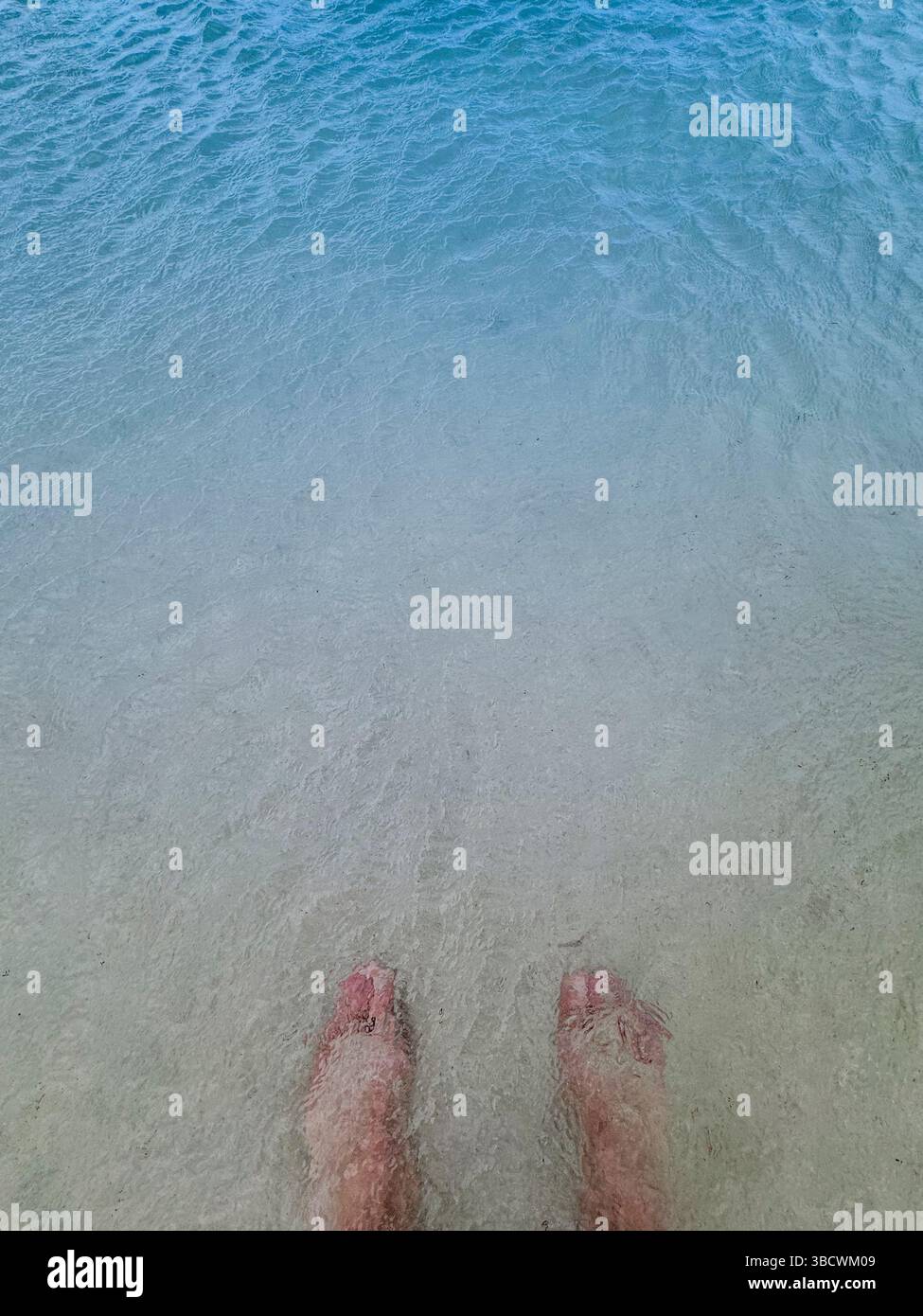 Feet immersed in the calm sea water at the shore Stock Photo - Alamy