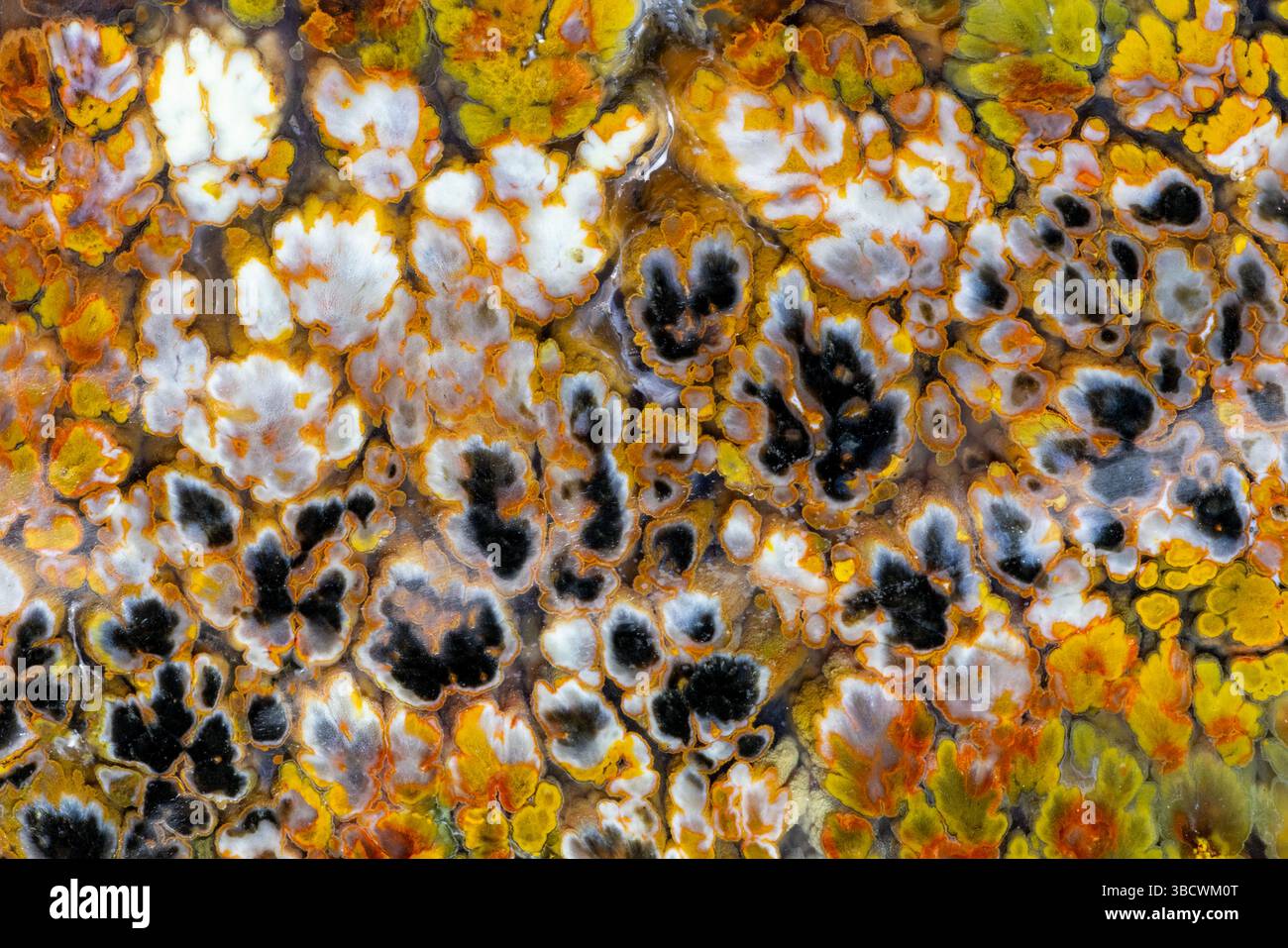 Agate closeup hi-res stock photography and images - Alamy