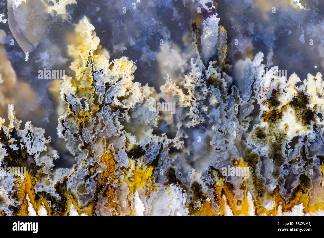 Agate closeup hi-res stock photography and images - Alamy