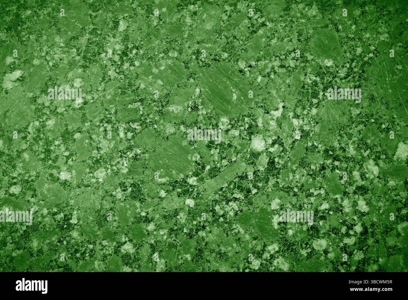 Light green matte background hi-res stock photography and images - Alamy