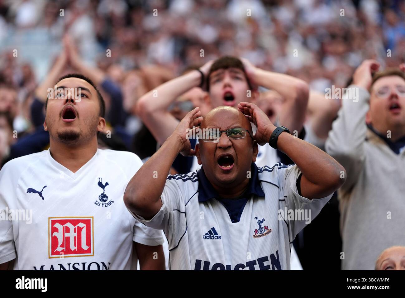 Tottenham Hotspur fans reacts during a screening of the UEFA Europa ...