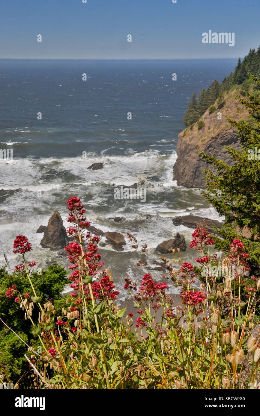 USA, Oregon. Pacific coastline Samuel H. Boardman State Scenic Corridor ...