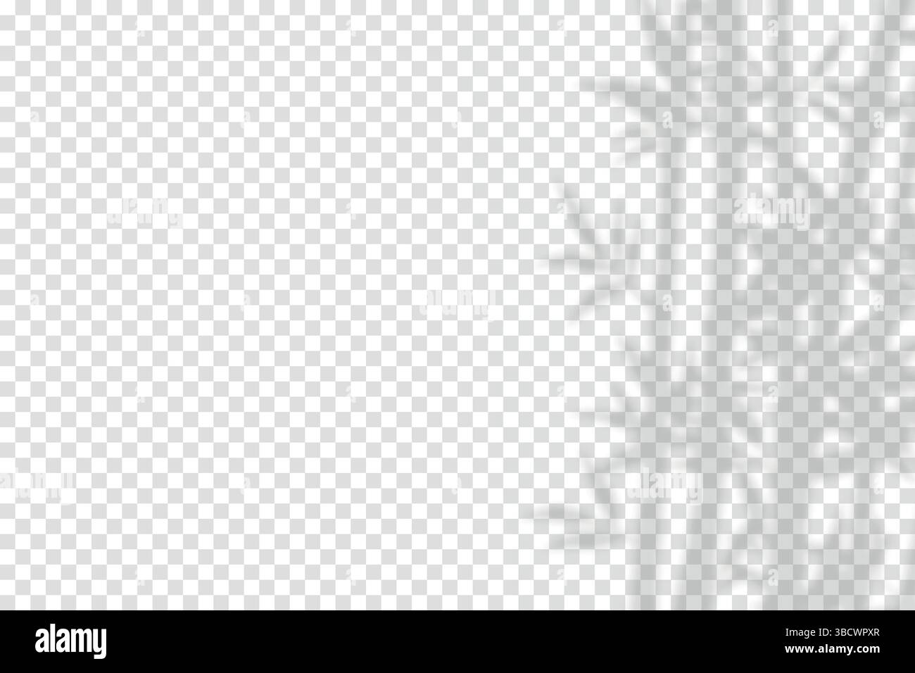 Bamboo Shadow Overlay Vector. Realistic Bamboo Shadow Overlay Effect ...