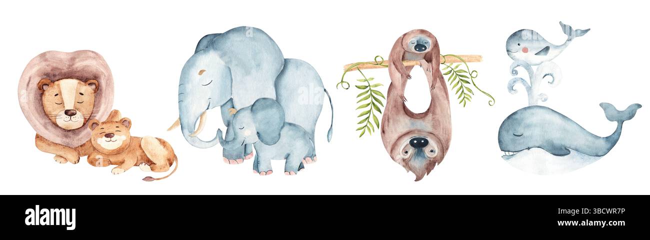 Wild animals families compositions set. Cute elephant, lion, whale and ...