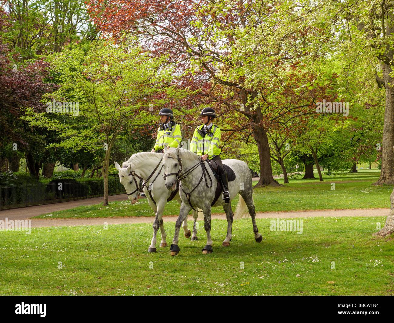 Horse mounted Metropolitan Police officers riding through Hyde Park in ...