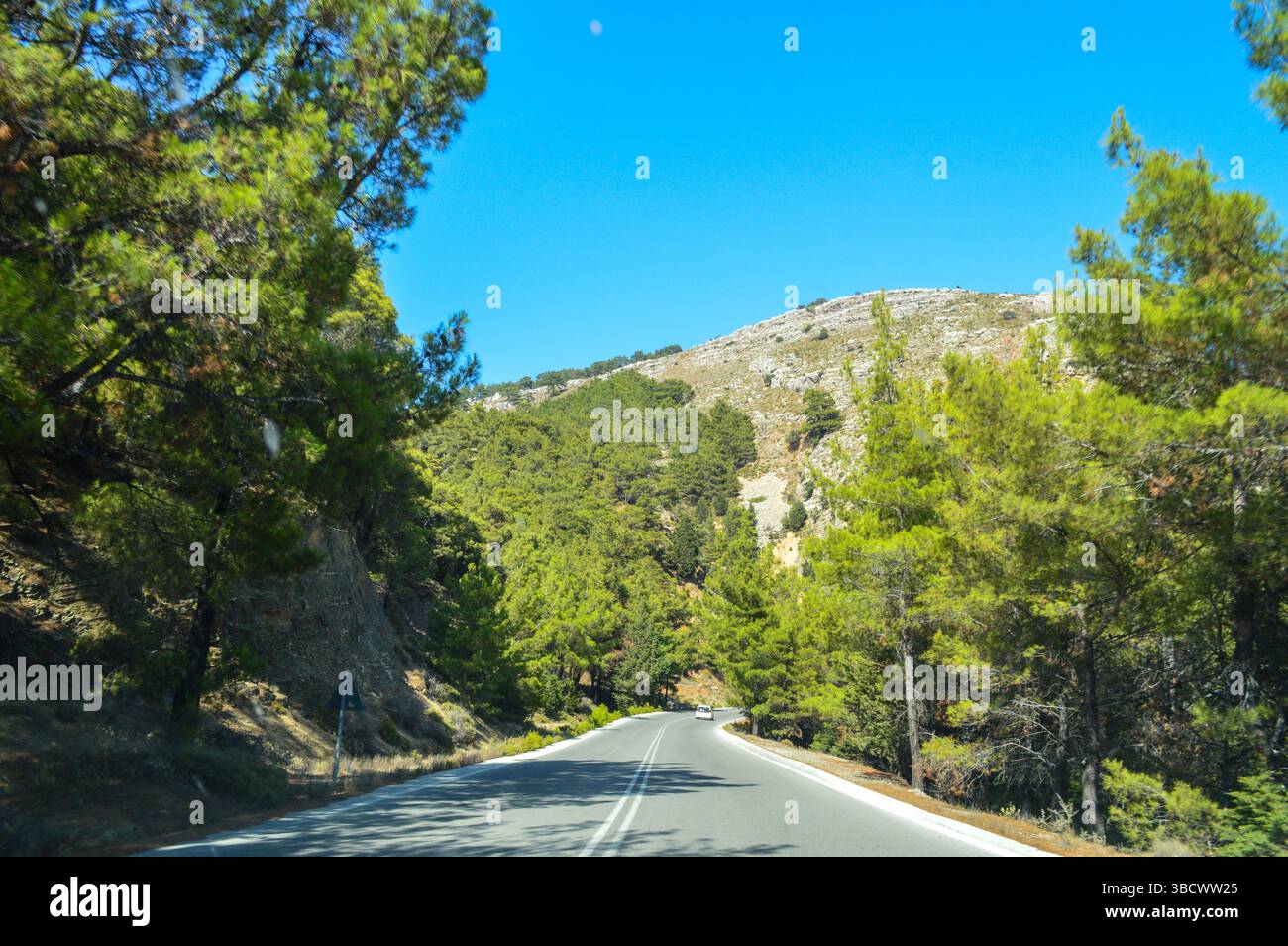 A scenic road curves through the dry, rocky hills and lush pine forests ...